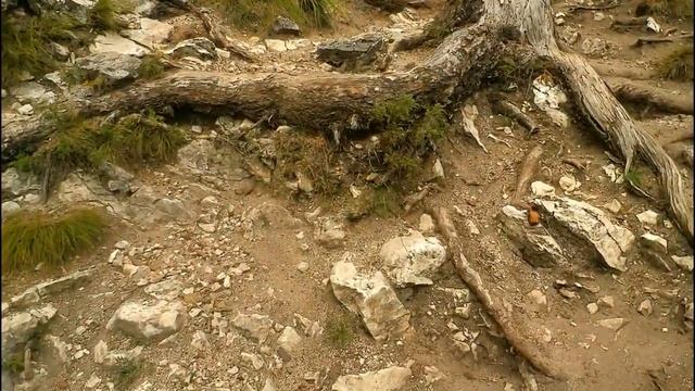 ч 3 Тропа шаманов