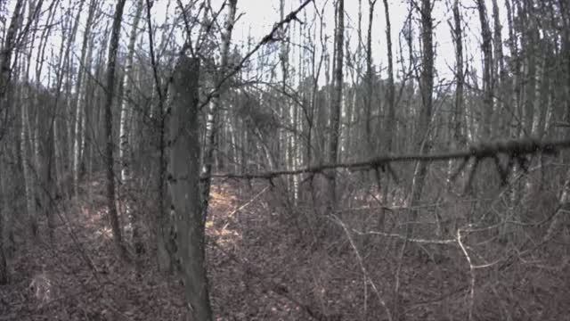 Imagine Dragons ( кавер ) Radioactive