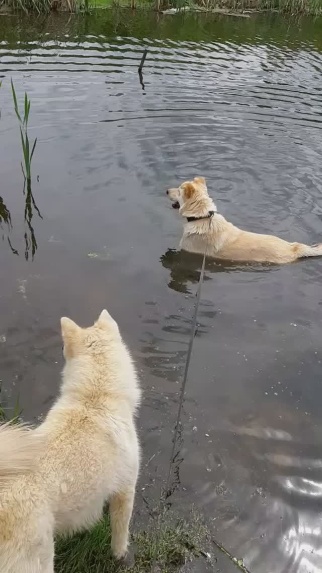 Водные процедуры.