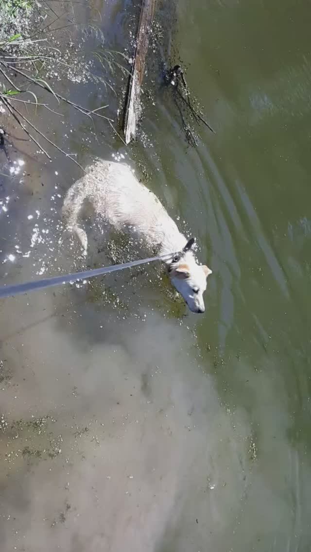 Очередные водные процедуры.