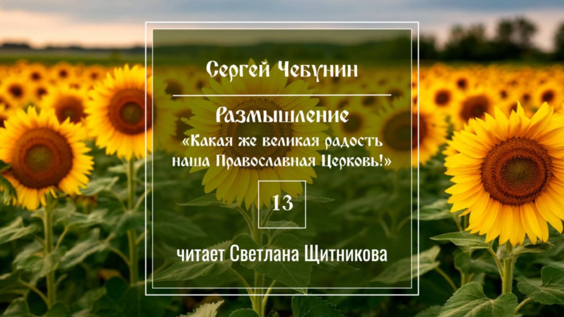 Размышление 13 (автор Сергей Чебунин, читает Светлана Щитникова)