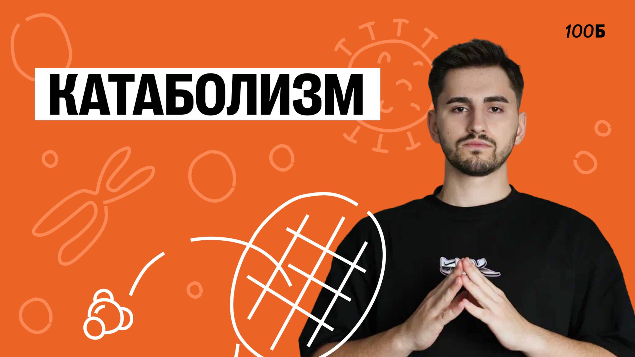 Урок №06. Катаболизм.