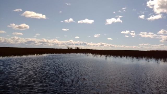 Залив Пампин