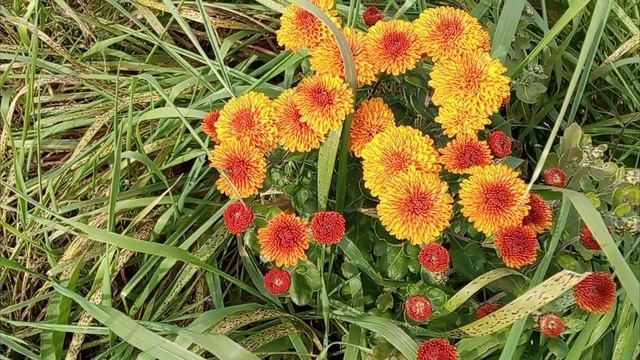 Обзор октября, 2025