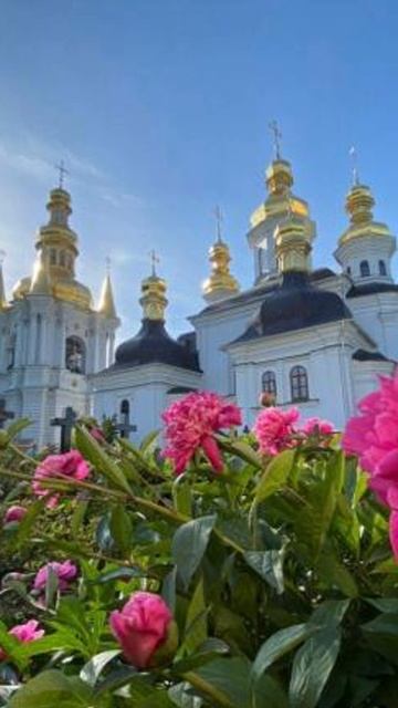 Душевный лекарь#Церковь#shortvideo#shorts#Молитва#Православие