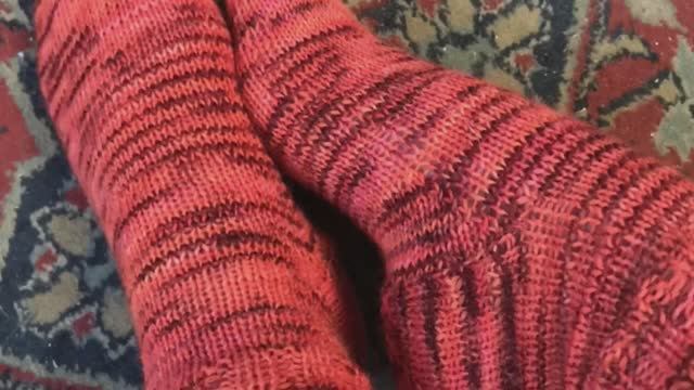 Оранжевость отступила?🧡 Избавляюсь от розовости 🎀 И снова 🦅 птицы