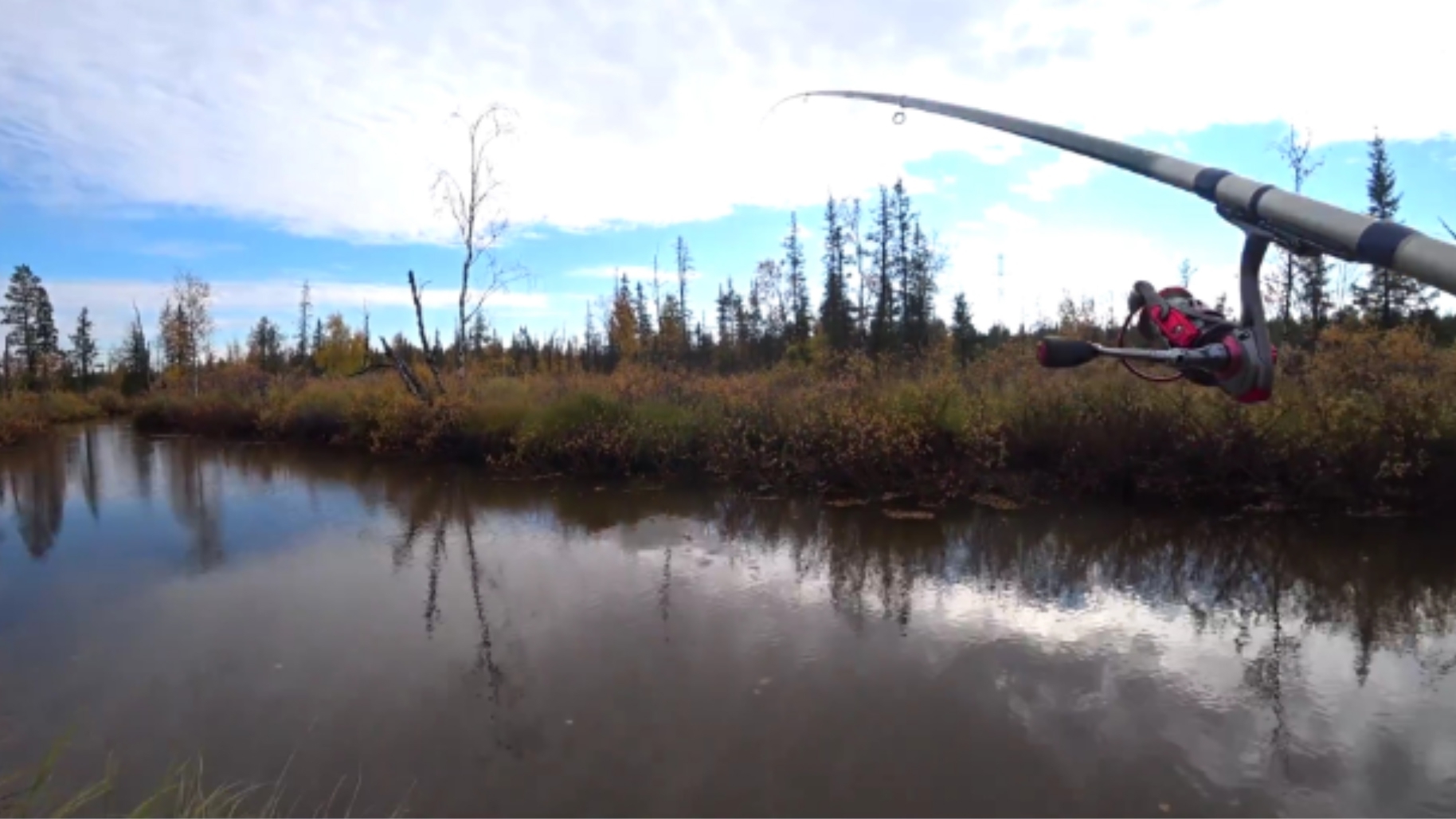 Нашли рядом с городом речку в котором мохтик клюет дуром!!!