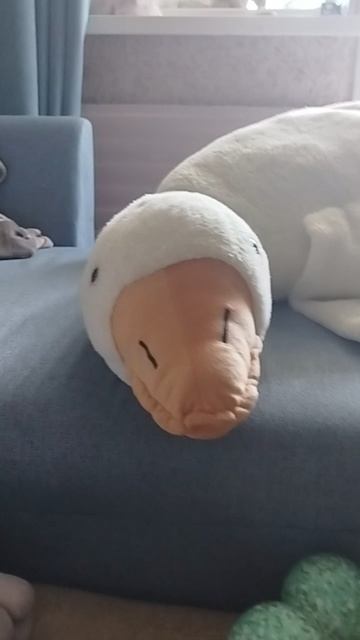 ЭТО ГУСЬ ОБЗОР СУЩЕСТВА