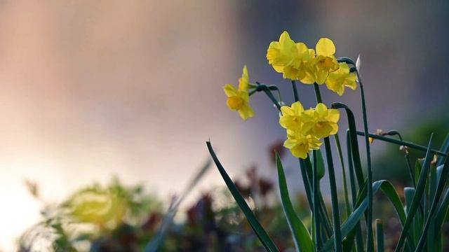 Песня. Неуёмная! СУПЕР ПЕСНЯ!! ОГОНЬ... ХОЧЕТСЯ ТАНЦЕВАТЬ