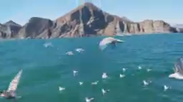 РЫБАЛКА НА ЧУКОТКЕ - ВОТ ЭТО РЫБАЛКА!!!