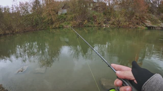 Жирный осенний елец на спиннинг в октябре.