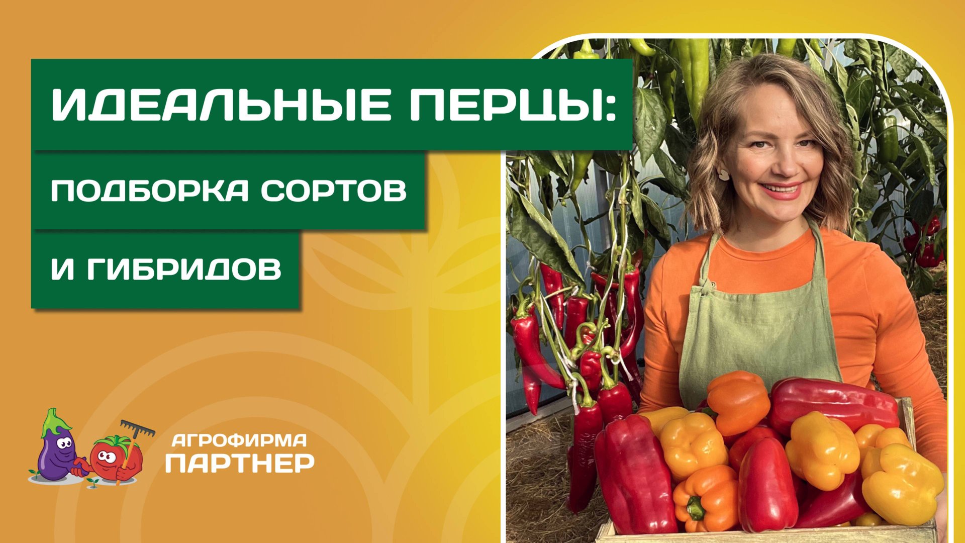 ТОЛСТОСТЕННЫЕ, СОЧНЫЕ, АРОМАТНЫЕ — Топ сортов и гибридов перца для идеального урожая