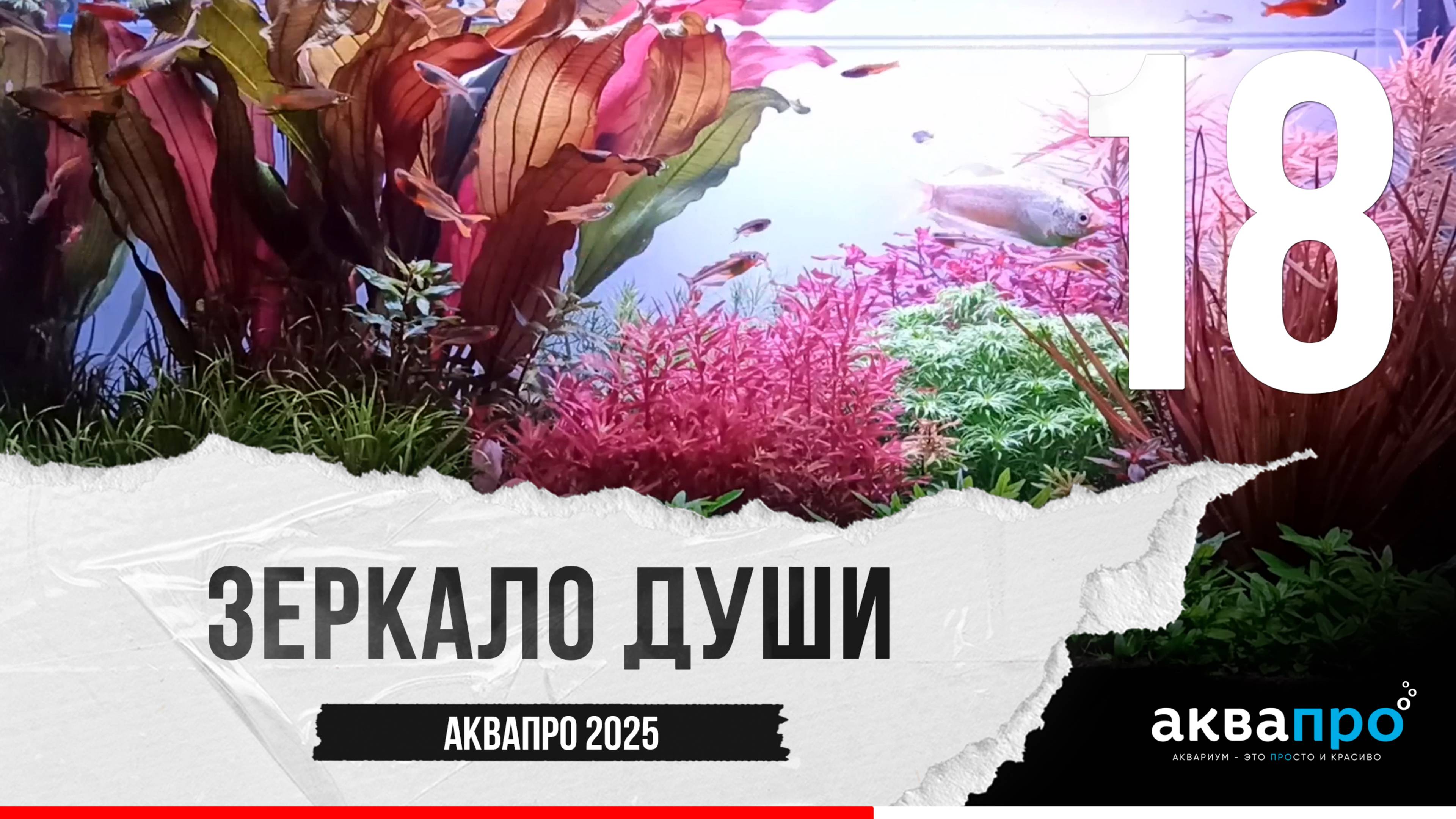 18. Зеркало души #АкваПро