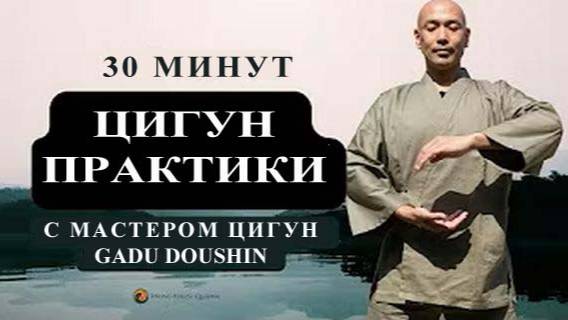 Ци02-86 SFQ Цигун ежедневно с мастером Gadu Doushin. Цигун Весеннего Леса (Чуньи Лин)