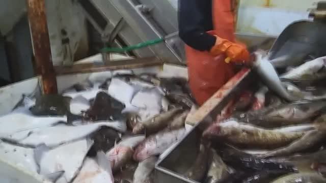 НЕ ПЫЛЬНАЯ РАБОТА В МОРЕ