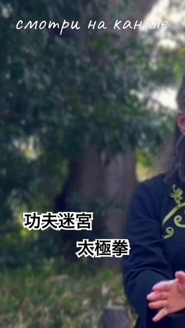 Лабиринты кунг-фу - Кунг-фу Мэйкю - Тайцзицюань