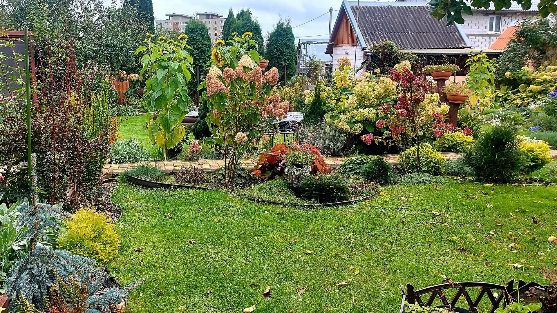 Дачный сезон не закрыт. Трудимся, пока погода позволяет🍁🍂🍁#дачныехлопоты