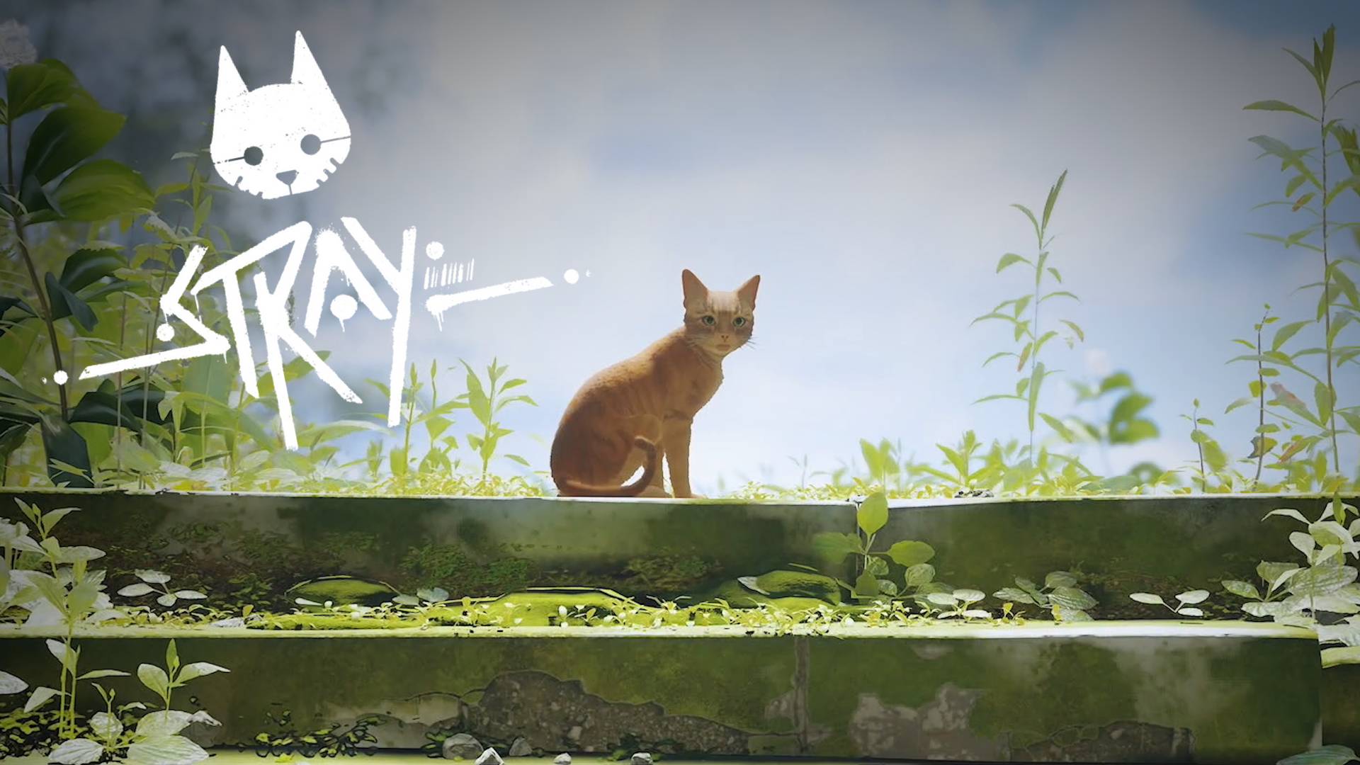 ФИНАЛ | STRAY #8