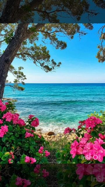 Природа релакс