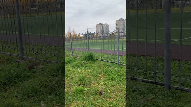 Школа № 1 (Басейн) ЗАТО Мирный Архангельская область