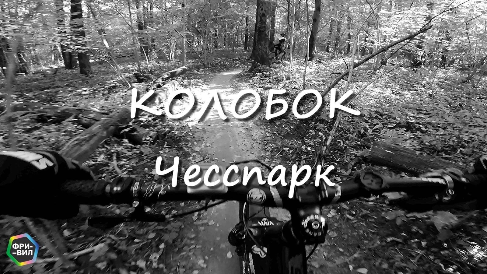 Трейл КОЛОБОК с Фри-Вил. Чесспарк, сентябрь 2025
