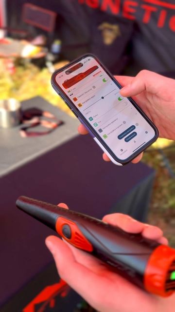 Пинпоинтер Сфинкс 03 описание и характеристика , от официального представителя компании Сфинкс.