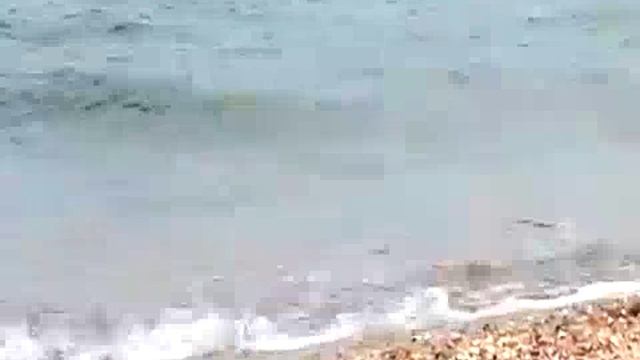 Dhalif AliBalladeНаши кумиры st Werema54