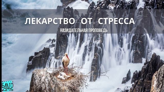 Лучшее лекарство от беспокойства. Проповедь #cтресс