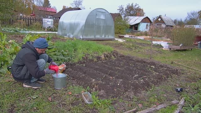 Чеснок - подготовка и посадка