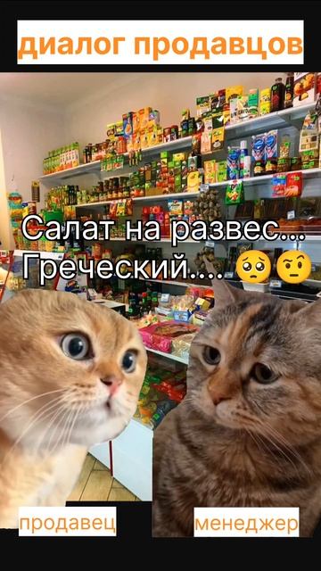 сериал #ДваКота товароведам на заметку, зачётный #лайфхак 🤣😺🔥#коты #юмор #анекдот #смешныекоты #ржак