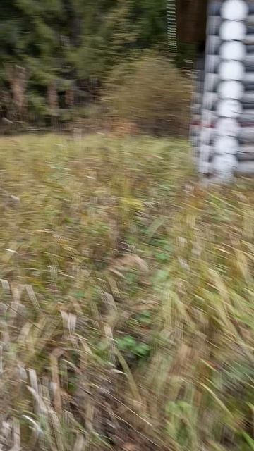 15_Путейская избушка