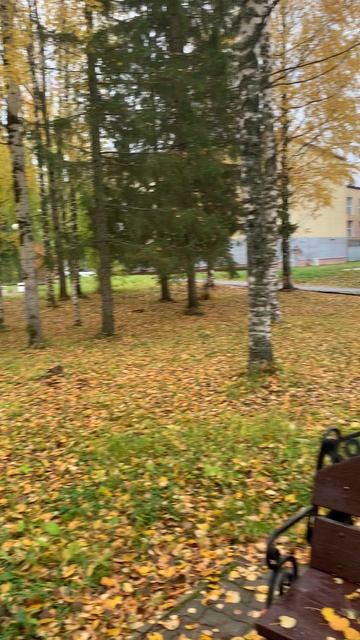 Школа № 1 (Бассейн) ЗАТО Мирный Архангельская область