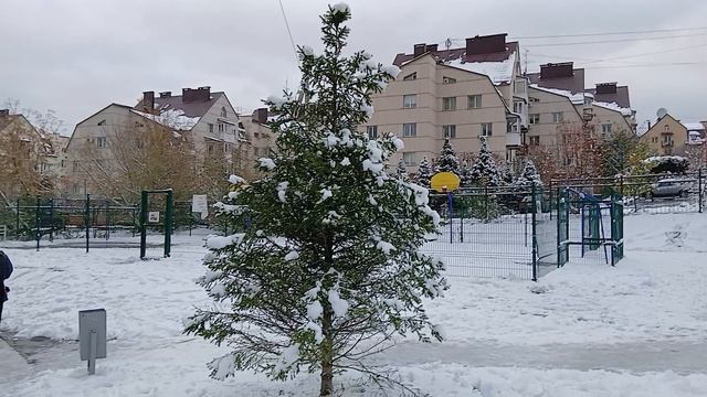 Новосибирск сегодня. Снегопад в Новосибирске. В Новосибирск пришла зима