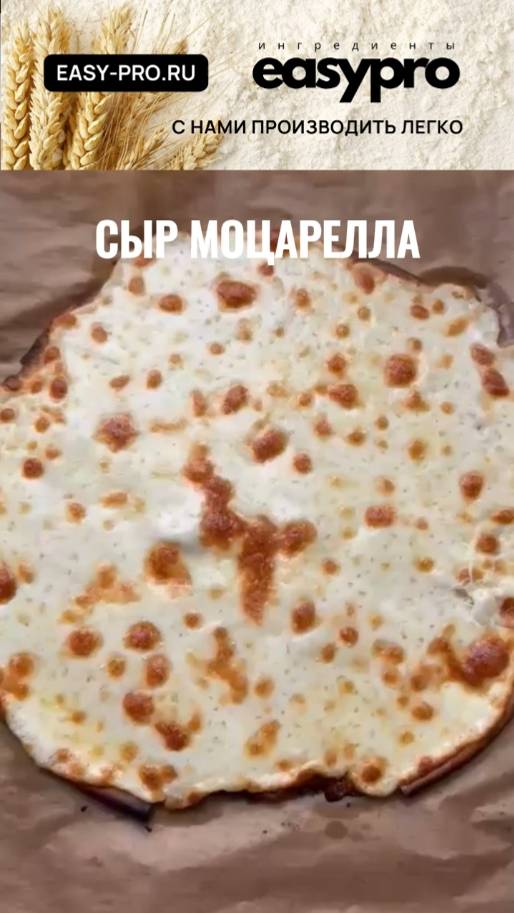 © EASYPRO - тест сыра моцарелла.