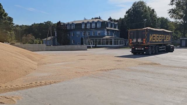 JM Kipper MEGA 3 | Кузов 50 м3 | Уборочная 2025 Погрузка и выгрузка пшеницы Самосвальный полуприцеп