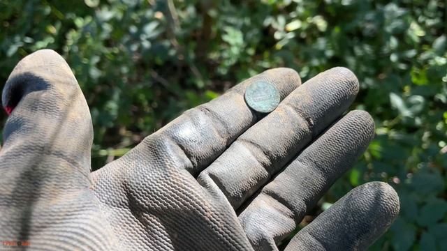 Накопал монет с Garrett Vortex Серебро