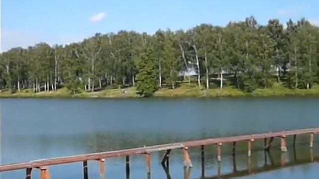 Пруд в деревне Житнево, Домодедовский район (08.08.08)