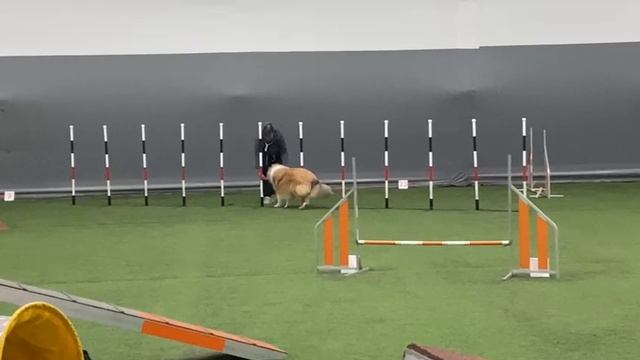 Вик, тренировка октябрь 25 -1