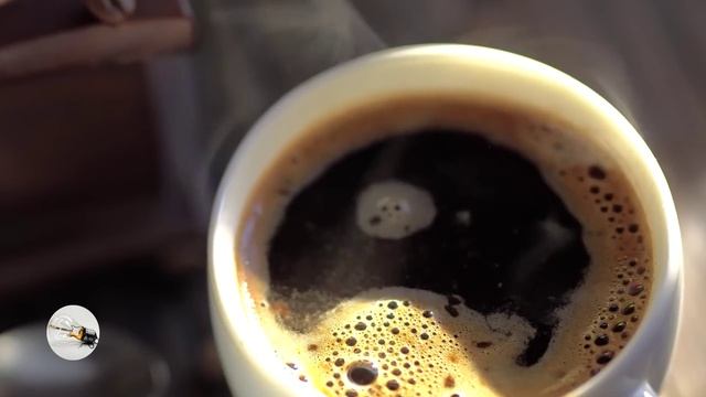 Мягкая джазовая музыка и босса-нова #33