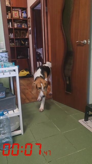 Пряник сдает норматив 07-10-2025