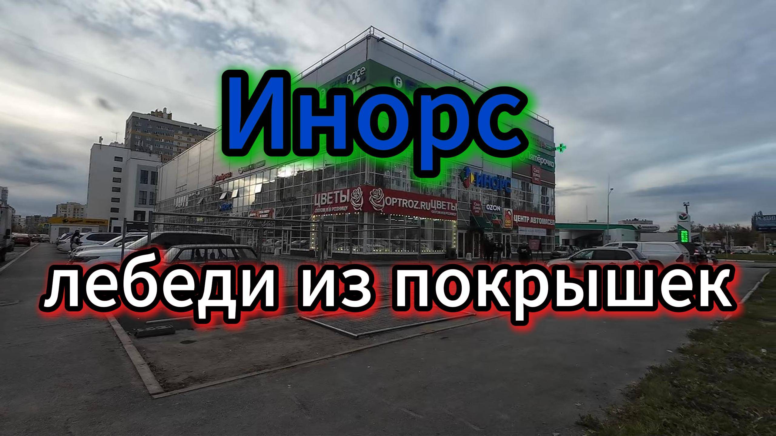 Инорс, лебеди из покрышек, осень 2025