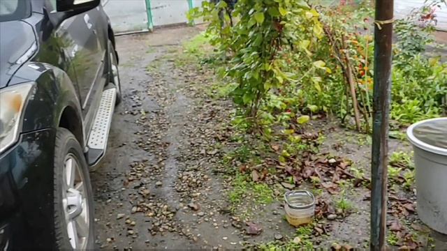 6 октября 2025 Земляные работы в доме