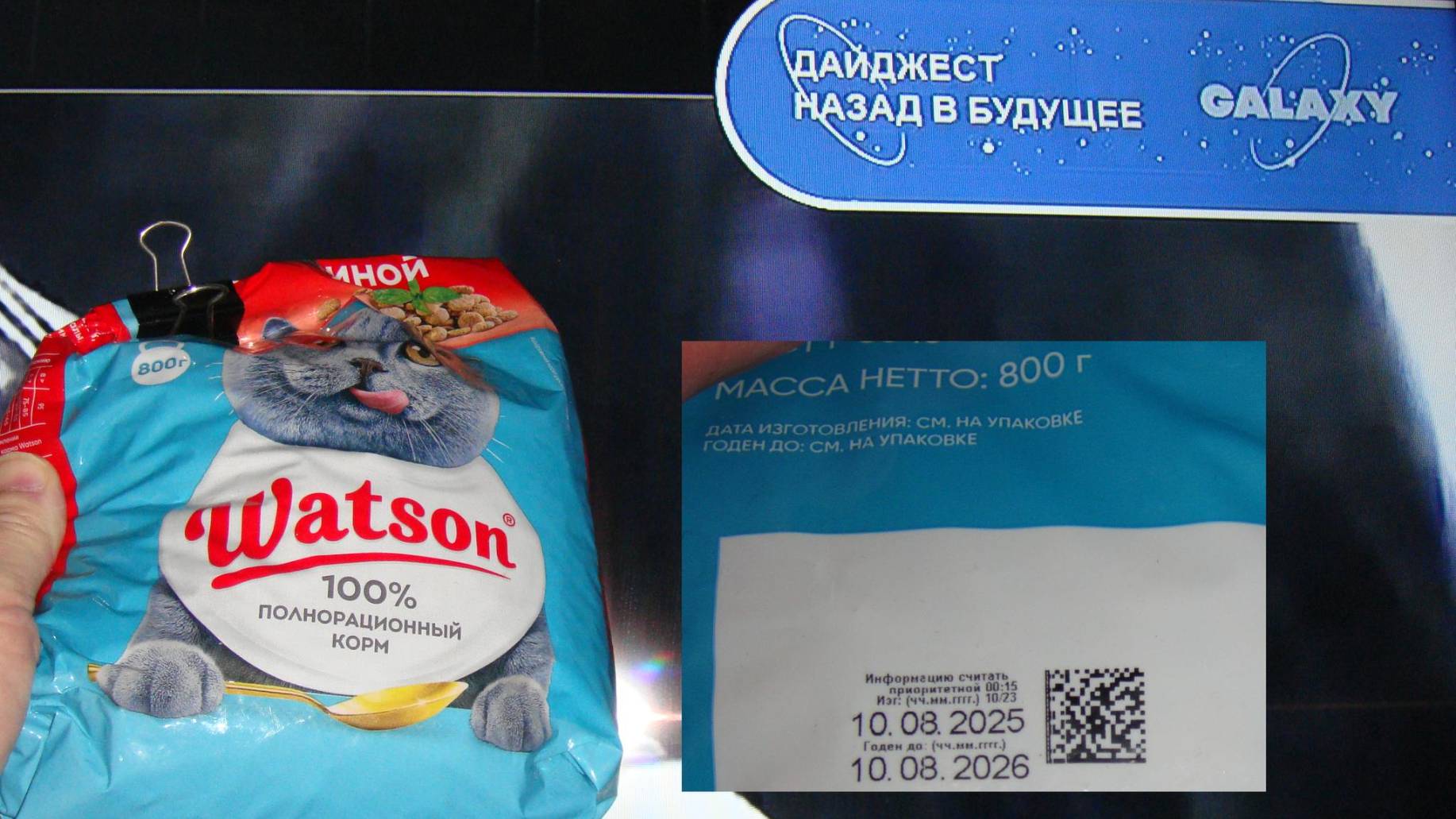 Под окном 2025 сент 02 - окт 01  не только Кошаки и собаки WATSON