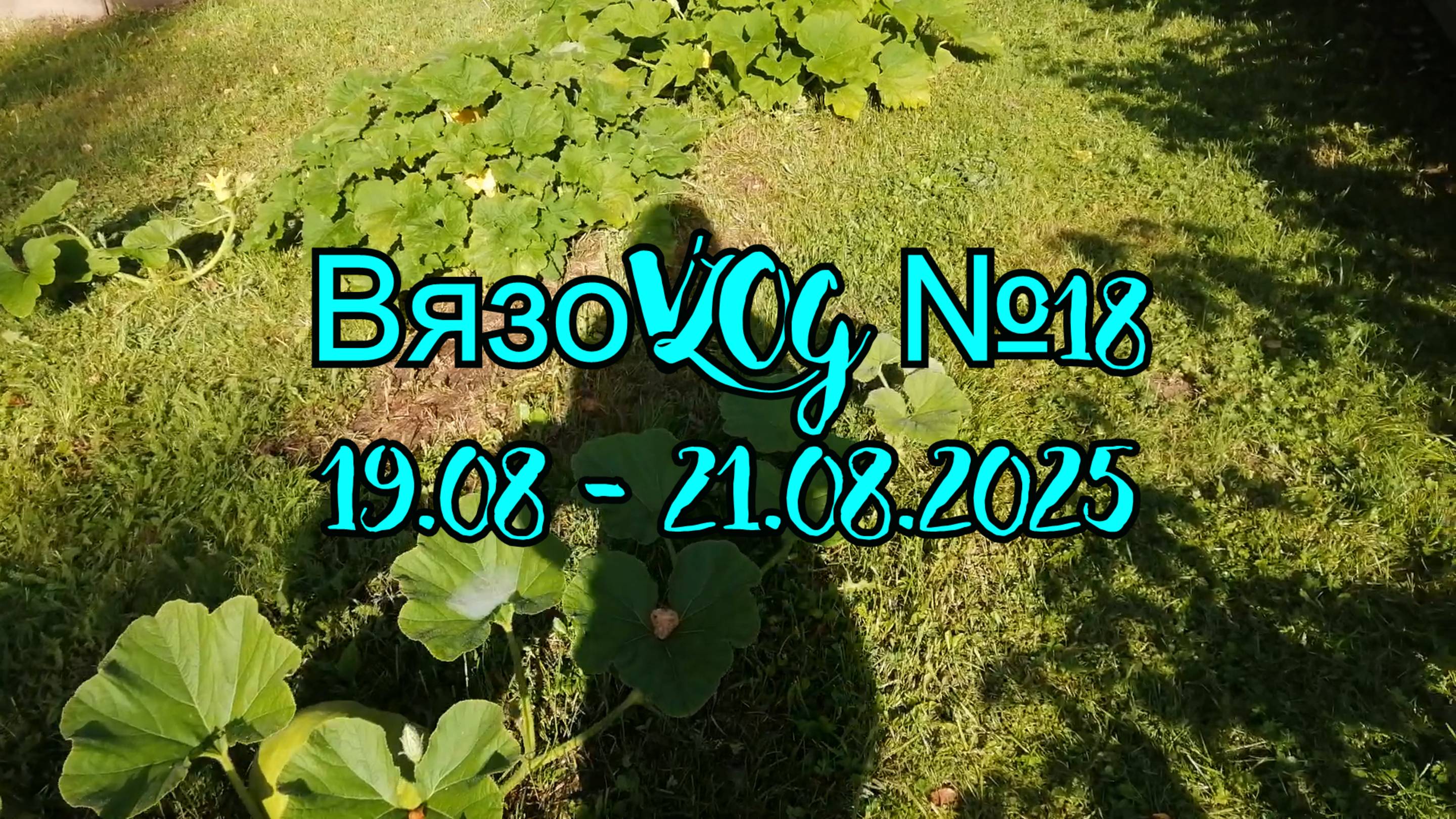 ВязоVLOG №18 / 19.08 - 21.08.2025 / Отпуск заканчивается...