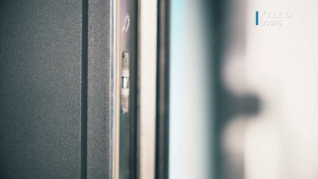 Современно и технологично. Входная дверь Kaleva Aluvet Esthetic