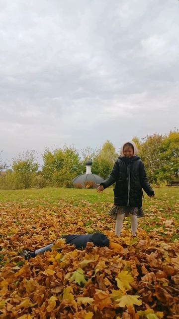 Кленовый 🍁 листопад.