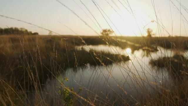 Умиротворяющая музыка для сна и медитации | 1 час | Единение с природой | HistorInk