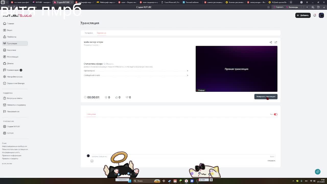 майн визер чторм