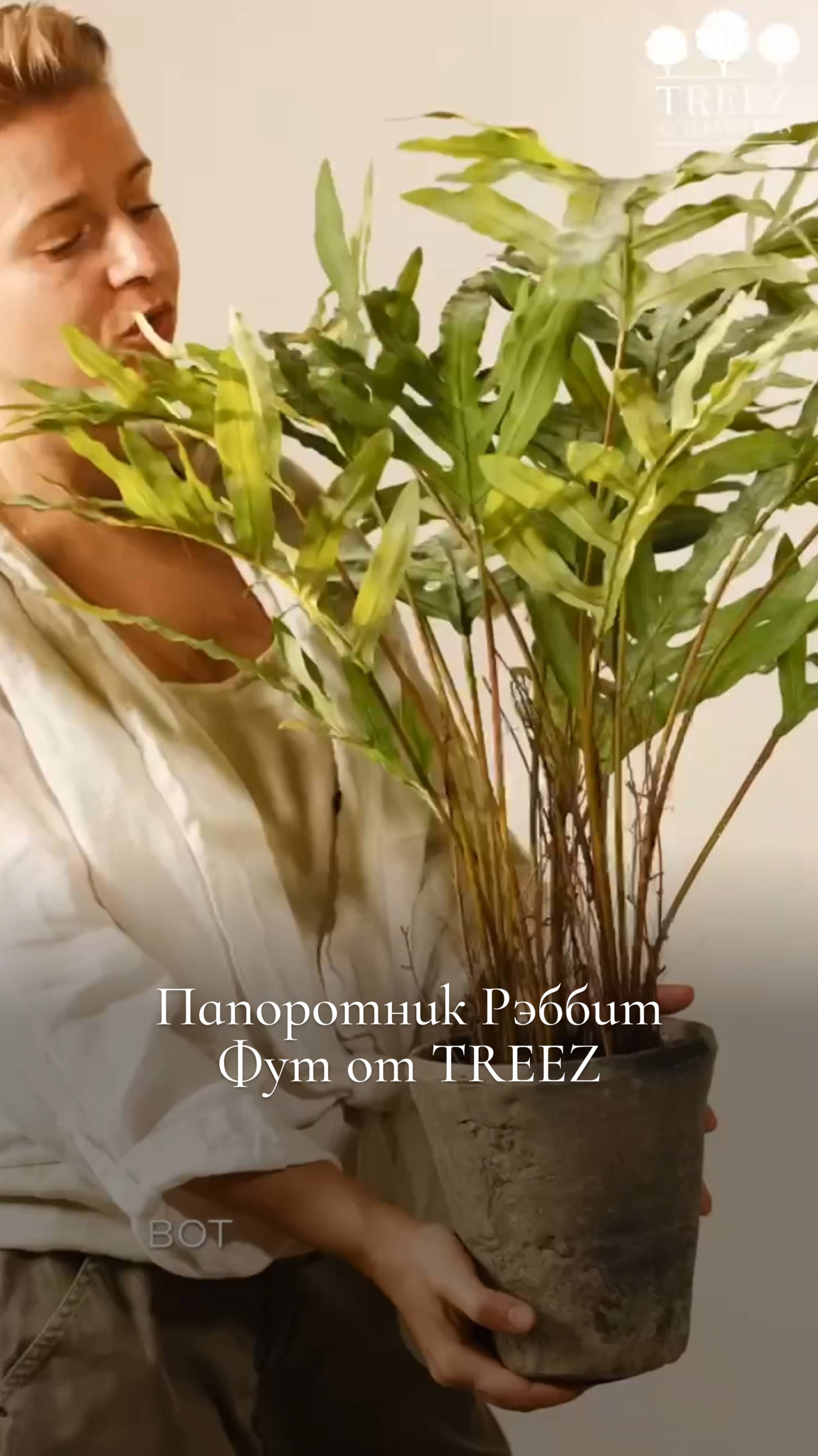 Rabbit Foot: искусство быть изящным и стильным