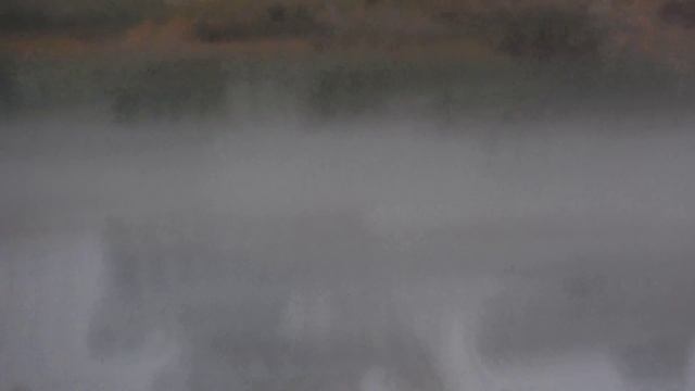 Лебеди озеро Ильмень 1